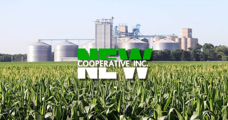 Vmware Esxi Servers Encrypt By A Ransomware Group Using Python Script Xiarch Solutions Private