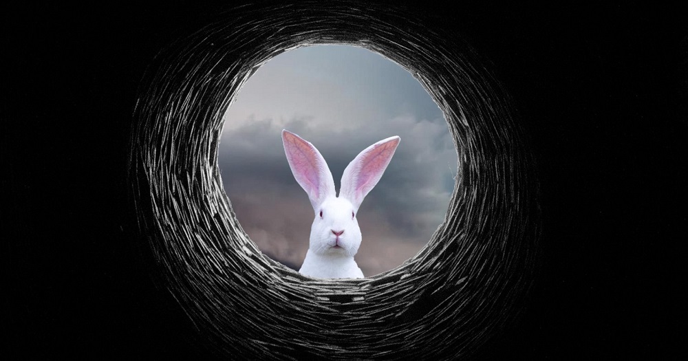New Rabbit Ransomware Associated to FIN8 Hacking Group - Xiarch ...
